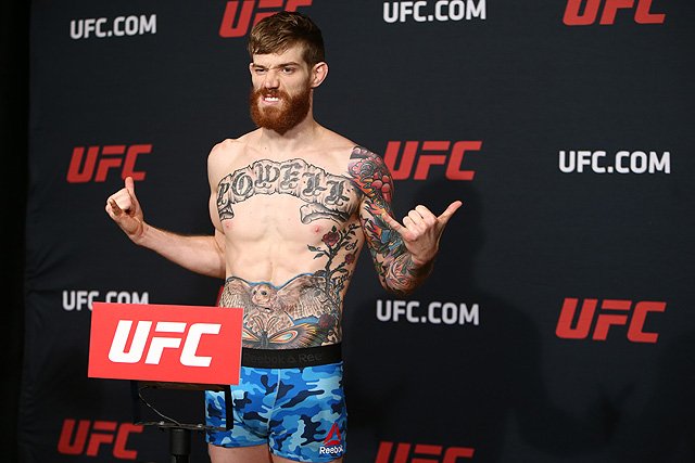 powell 1 | MMA UK