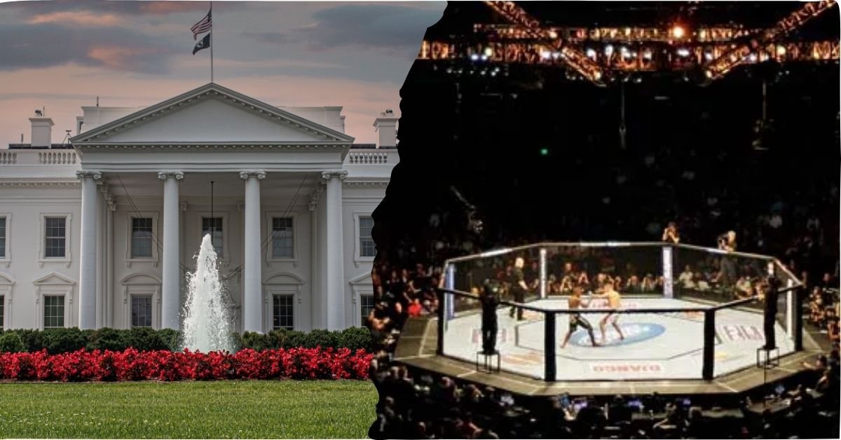 UFC White House Event 2026: Poirier & Holloway Lead Odds for Historic ...