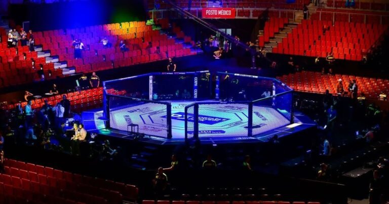 MMA Games That Could Make It in the Octagon | MMA UK